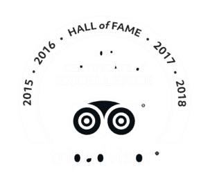 Dig This Vegas – Heavy Equipment Playground