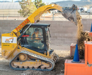 Family & Friends - Dig This Vegas